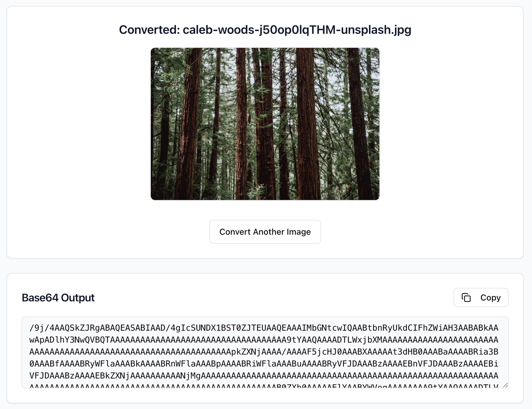 Image to Base64 Converter - Zight