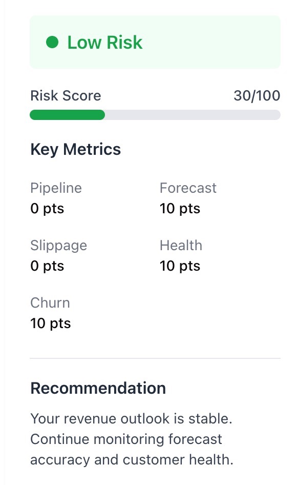 Revenue Risk Analyzer - Zight